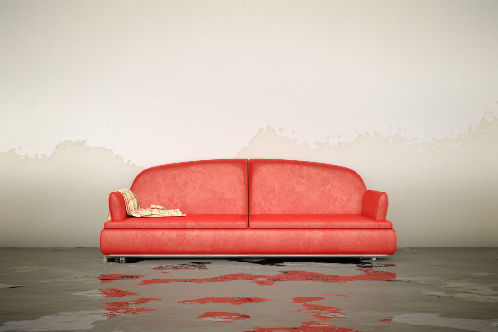 water damage sofa - TESA Directive